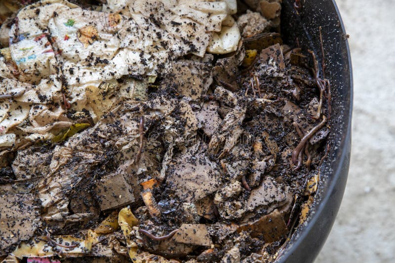 Interior of a Black Worm Composter Stock Image - Image of heap ...