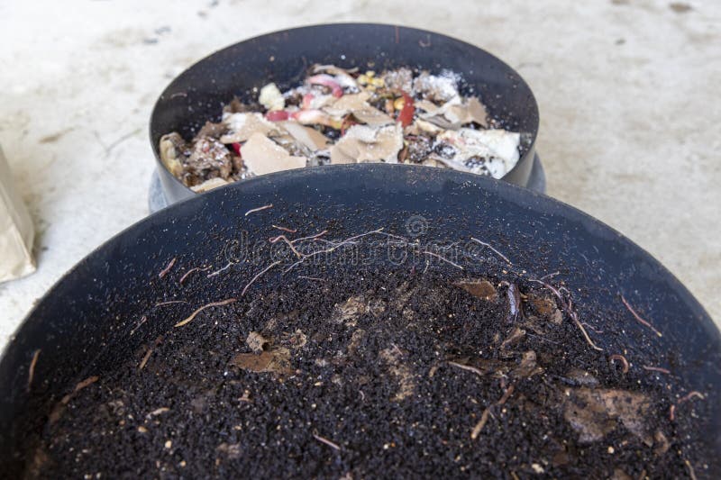 Interior of a Black Worm Composter Stock Image - Image of eggshell ...