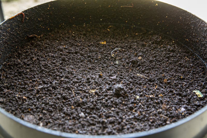 Interior of a Black Worm Composter Stock Image - Image of biodegradable ...