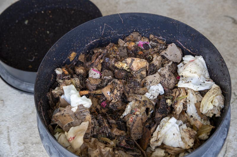 Interior of a Black Worm Composter Stock Image - Image of damaged ...