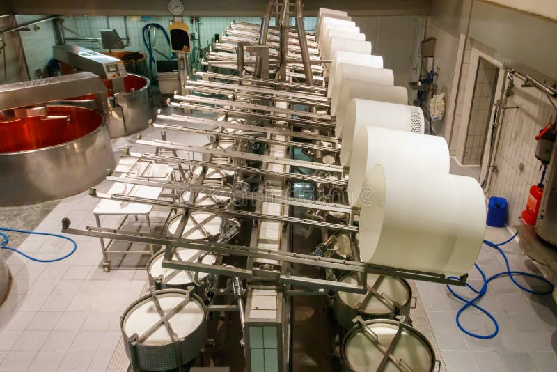 Interior of Cheese Dairy Factory. Equipment at Cheese Dairy Plant Stock ...