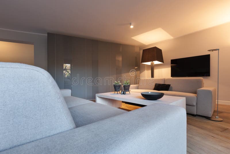 Interior, Comfortable Living Room Stock Photo - Image of inside, open ...