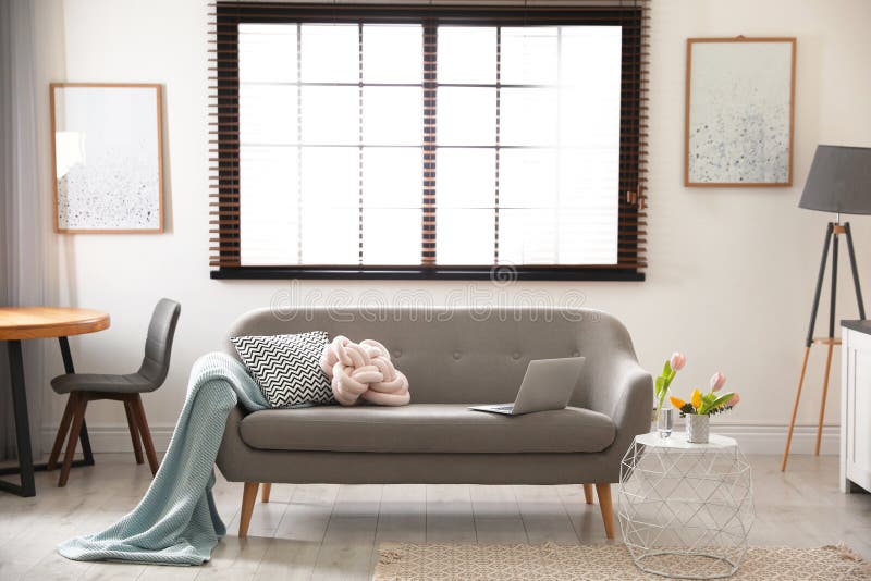 Interior of Cozy Living Room with Sofa Stock Photo - Image of fashion ...