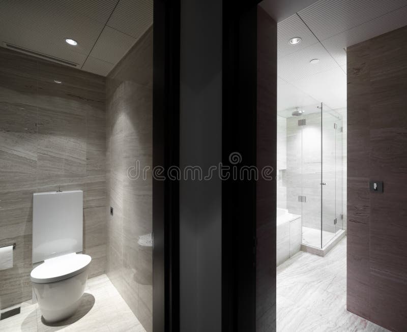 Interior Del Retrete Moderno En Estilo Europeo Imagen de archivo ...
