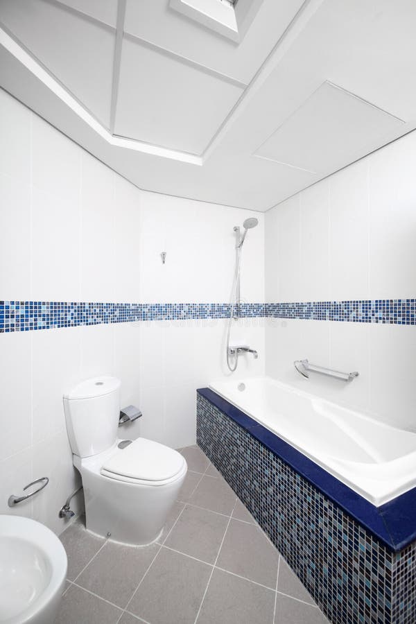 Interior Del Retrete Moderno En Estilo Europeo Imagen de archivo ...