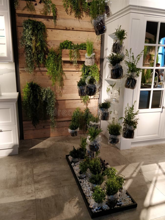 Greenery kitchen stock photo. Image of interior, greenery - 115397578