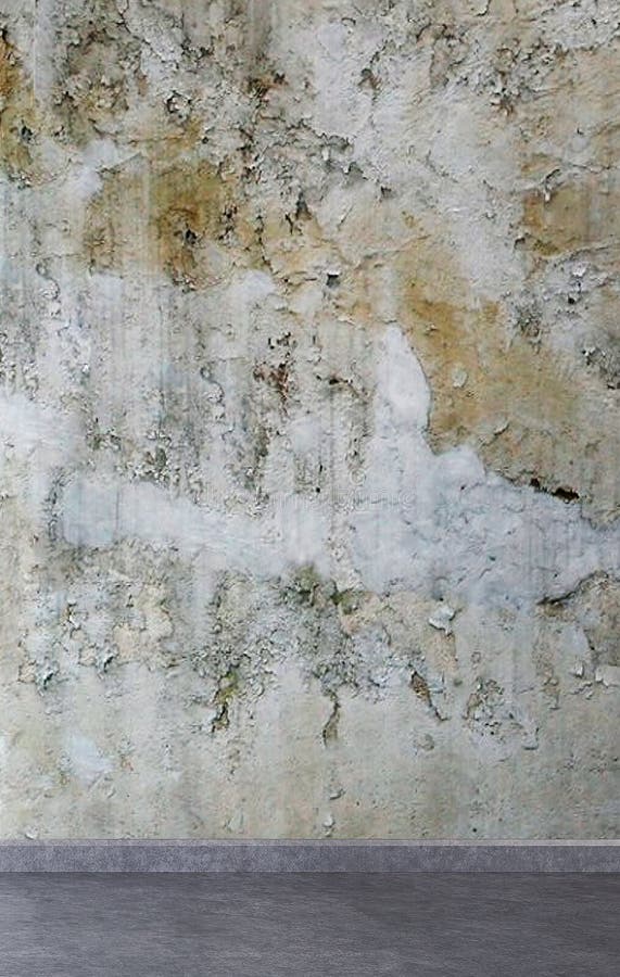 The Interior Design Idea of Loft Living Room and Concrete Wall Texture ...