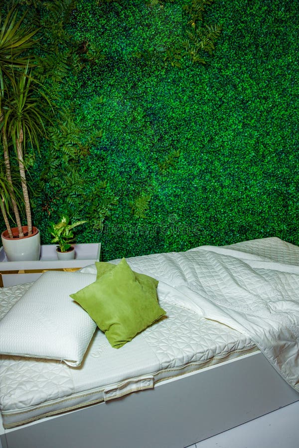 Interior of an Ecological House with a Green Wall with Grass Stock ...