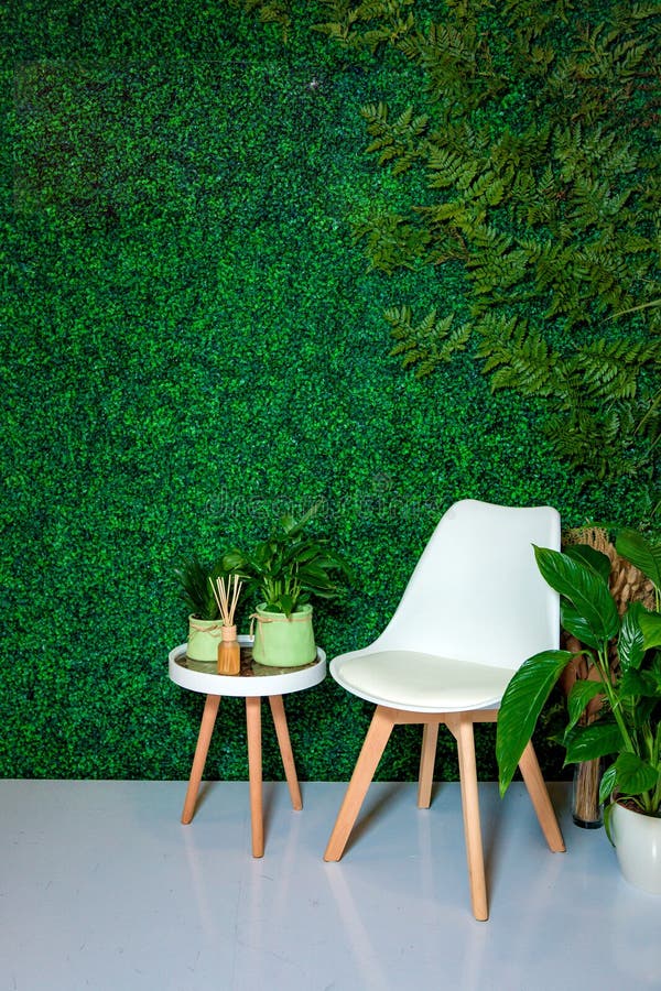 Interior of an Ecological House with a Green Wall with Grass Stock ...