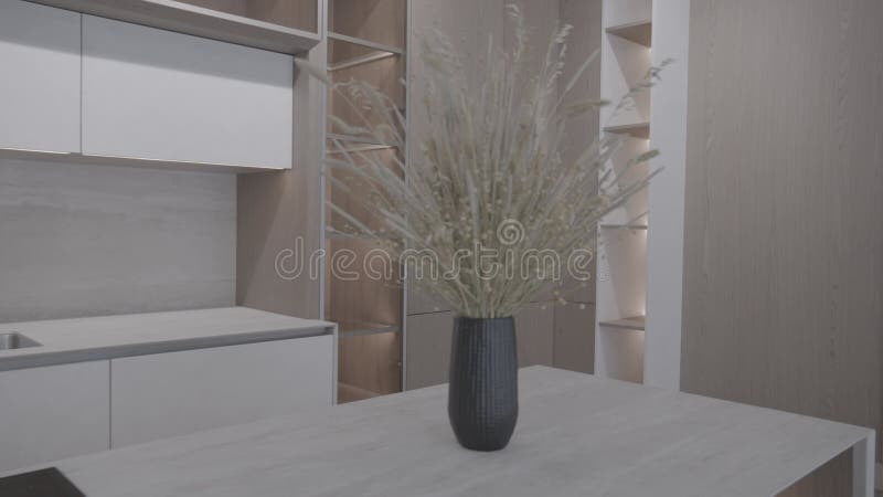 Interior Footage Showcases a Stylish and Modern Kitchen Design in a ...