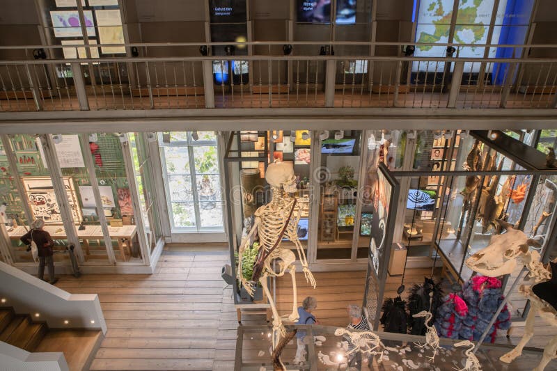 Interior at the Groote Museum at Amsterdam the Netherlands 21-6-2022 ...