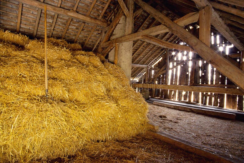 Interior of hay barn stock image. Image of granary, inside - 81283265