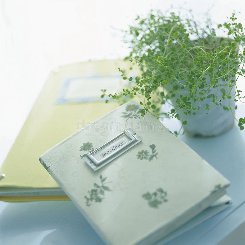 Interior Images stock image. Image of personal, showcase - 81587599