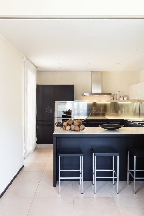 Fancy Kitchen Interior with Wooden Counter Top and Dar Wooden Floor ...