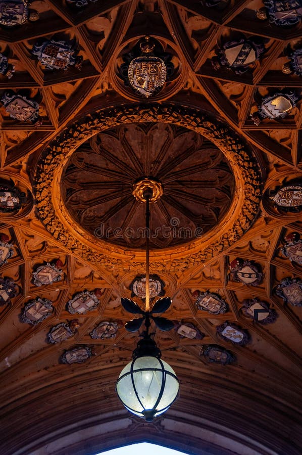 Ornate Vaulted Ceiling with Coats of Arms and Hanging Lamp in Dim Light ...