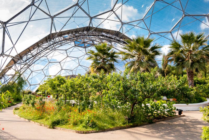 Interior of Mediterranean Biome, Eden Project. Stock Image - Image of ...