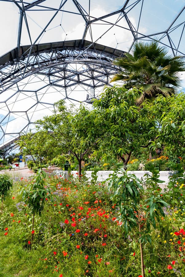 Biome`s at the Eden Project Eco Visitor Attraction in Cornwall, England ...