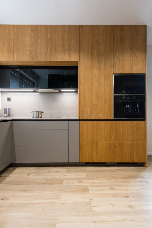 Interior of Modern Kitchen with Built in Appliances Stock Photo - Image ...