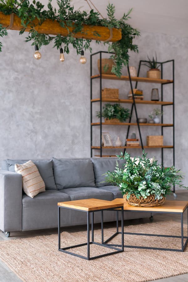 Interior of Modern Living Room with Comfortable Sofa Stock Image ...