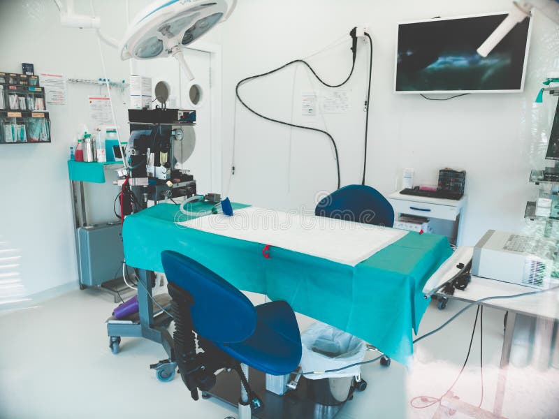 Interior of Modern Operating Room with Special Equipment in Veterinary ...