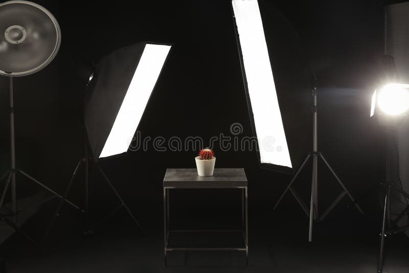 Interior of Modern Photo Studio with Table, Cactus Stock Photo - Image ...