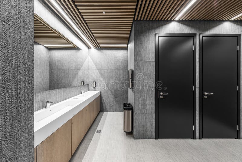 Interior of a Modern Public Restroom with Wood and Grey Clay Elements ...