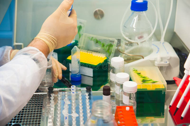 Interior of Modern Research Laboratory Stock Image - Image of chemist ...