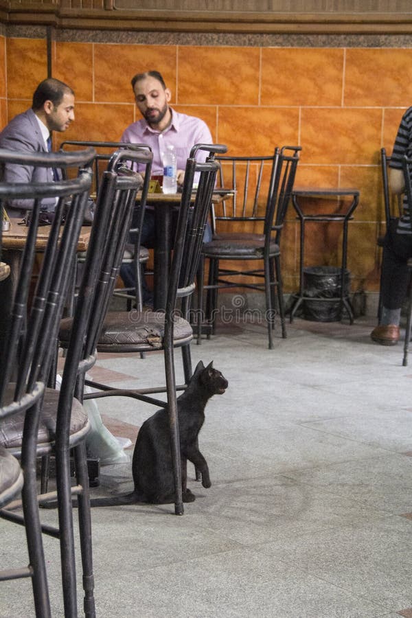 Interior of the Famous Ancient Al Fishawy Cafe at Khan El Khalili ...
