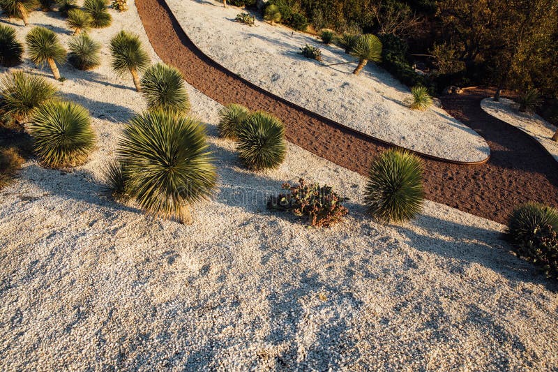 Interior Path with White Stones and Palm Trees Stock Image - Image of ...