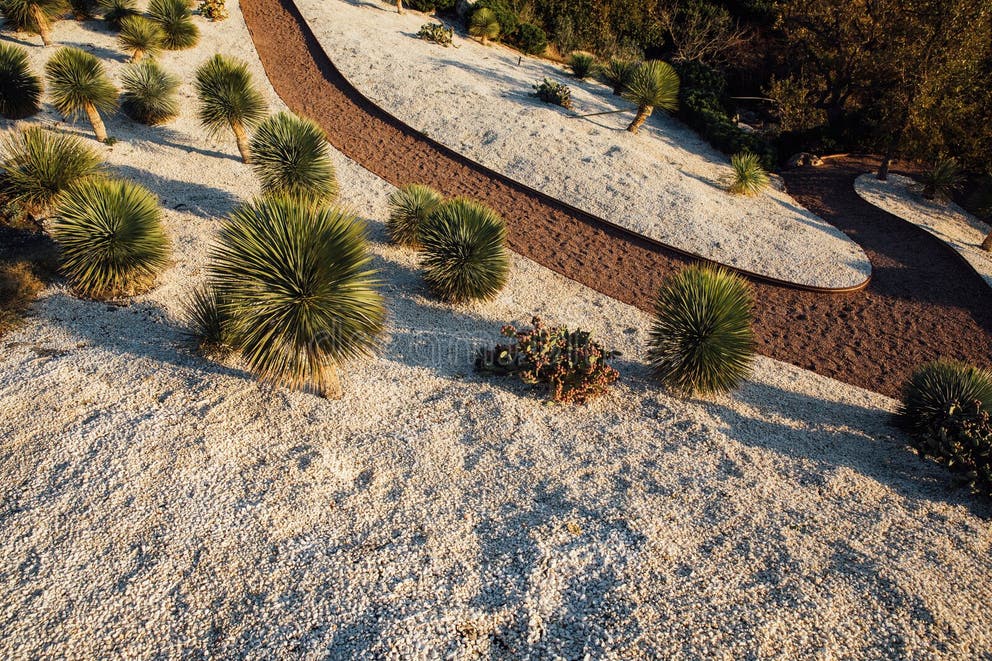 Interior Path with White Stones and Palm Trees Stock Image - Image of ...