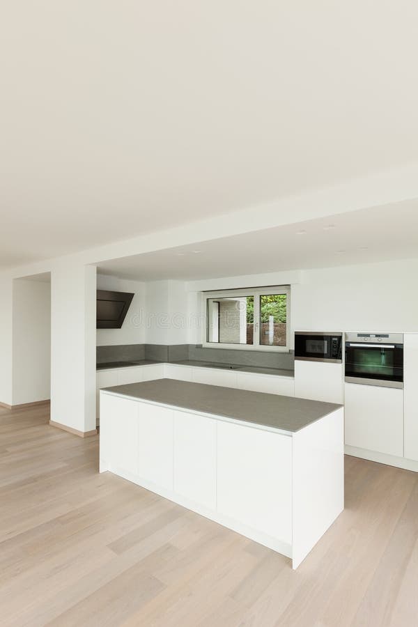 Interior, Penthouse Totally Empty Stock Image - Image of view, stylish ...