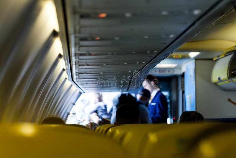 The Interior of the Plane with the Pilot in the Blurred Background ...