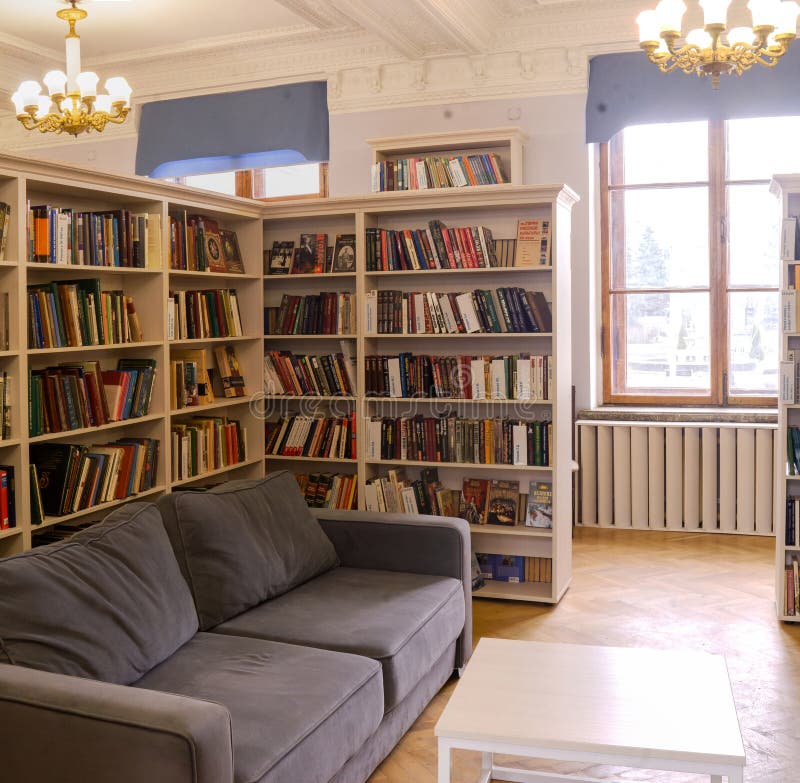 Interior of Public Library with a Sofa and Bookshelves Editorial ...