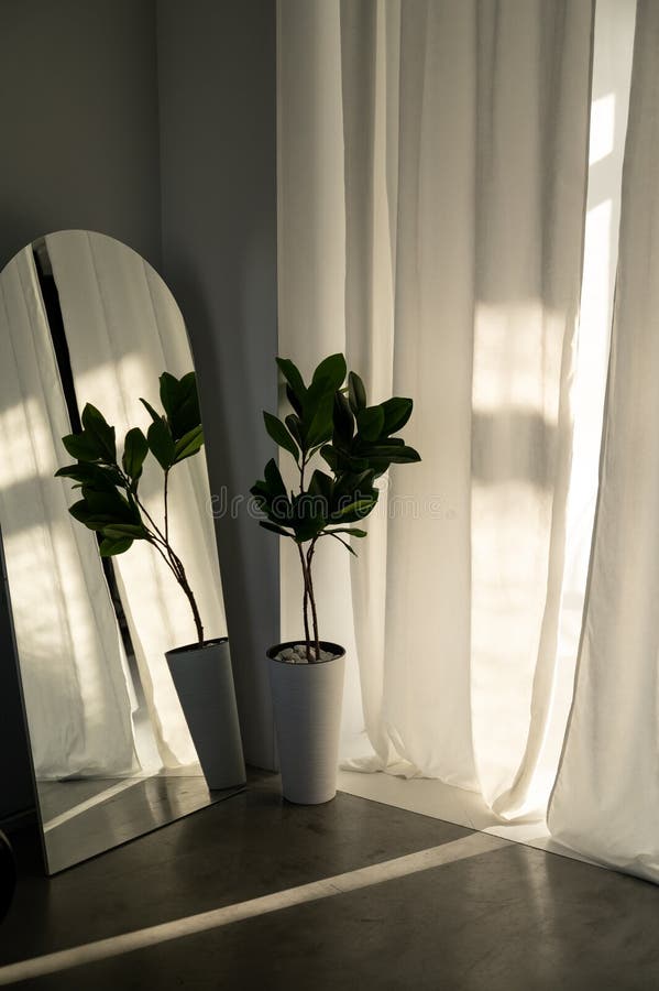 Interior of a Room with White Curtains, a Mirror and a Flower Pot ...