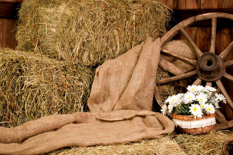 Interior Rustic Farm: Hay Wheel and Daisy in Basket Stock Image - Image ...