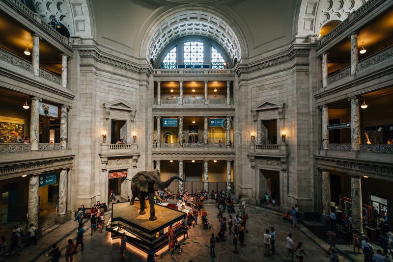 The Interior of the Smithsonian National Museum of Natural History in ...