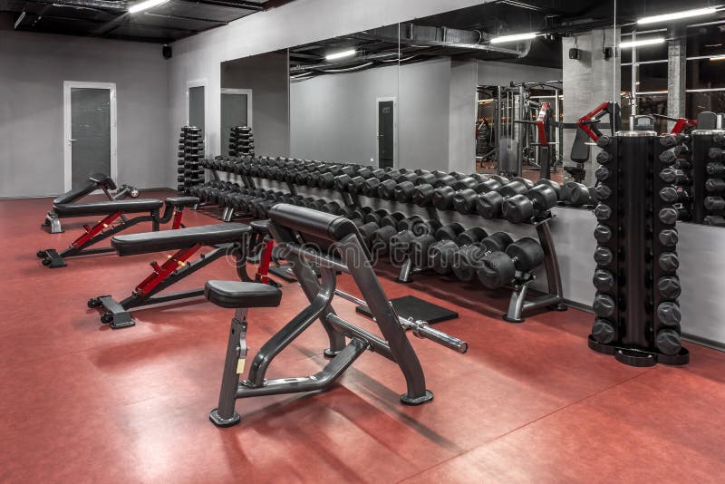 Interior of Spacious Empty Gym with Special Equipment for Physical ...