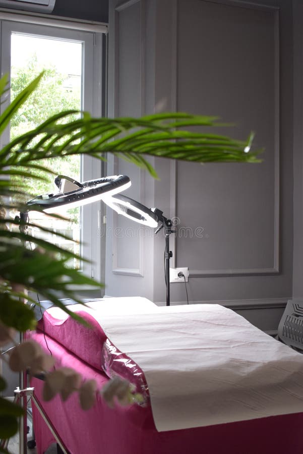 The Interior of the Studio for Aesthetic Services Stock Image - Image ...