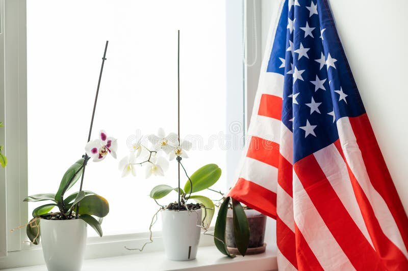 Interior of Stylish Room with Modern Workplace and USA Flag Stock Photo ...
