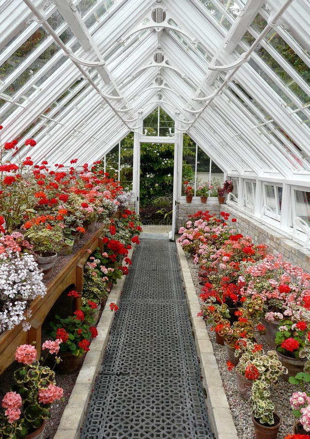 Interior of a Traditional Greenhouse Stock Photo - Image of spring ...