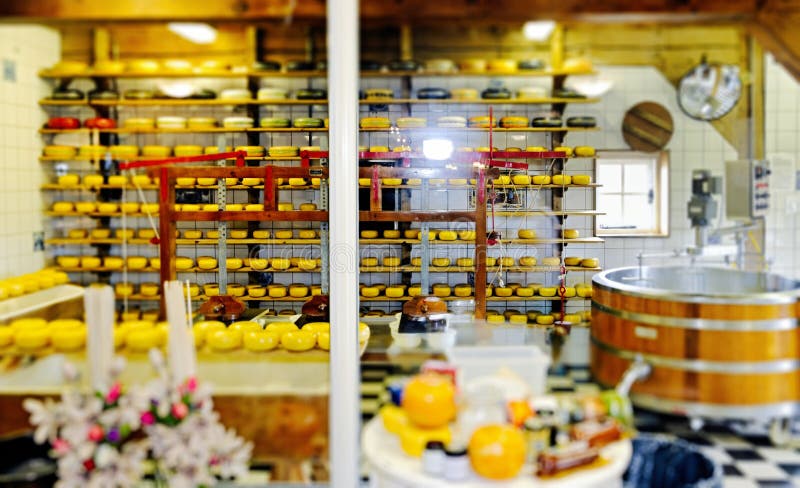 The Interior of a Typical Dutch Cheese Factory Stock Photo - Image of ...