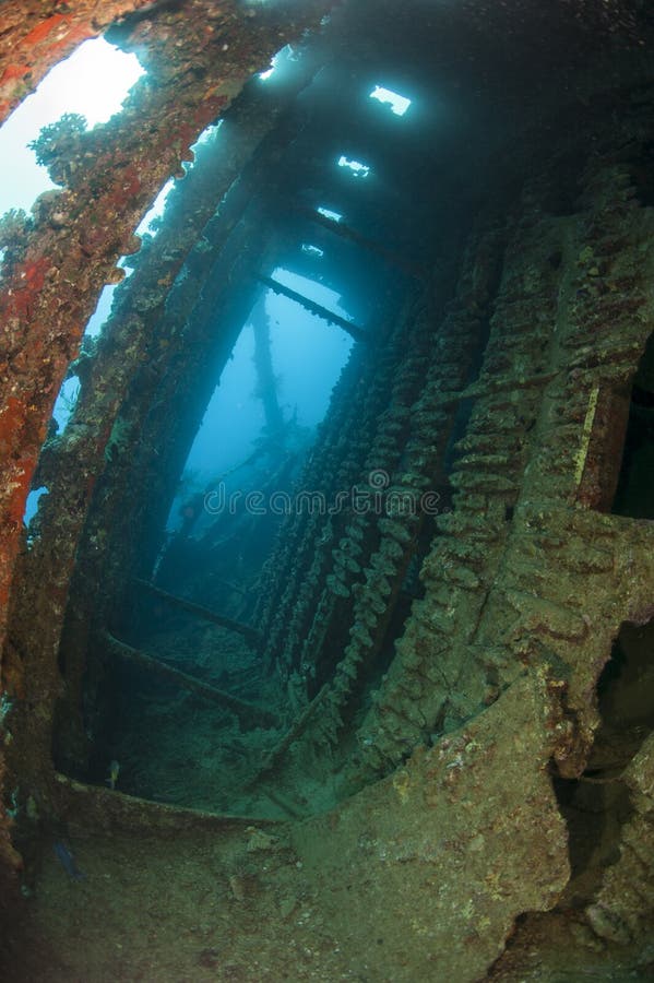 Interior of an Underwater Shipwreck Stock Image - Image of derelict ...