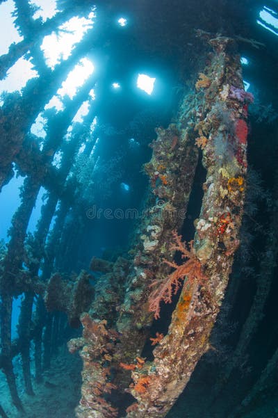 Interior of an Underwater Shipwreck Stock Photo - Image of carnatic ...