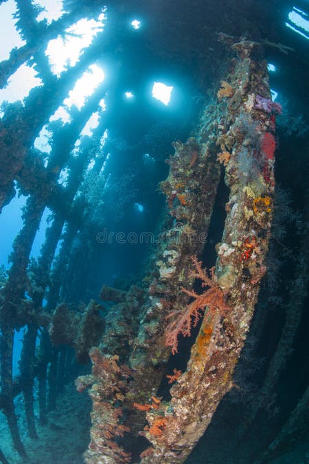 Interior of an Underwater Shipwreck Stock Photo - Image of carnatic ...