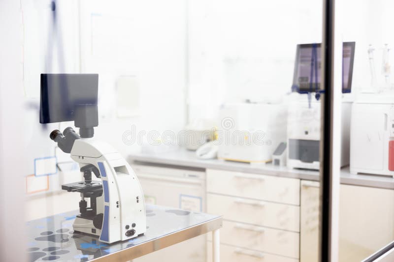 Interior of Veterinary Clinic Laboratory with Modern Equipment for ...