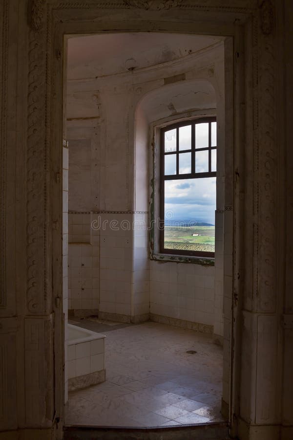 Nature Window stock photo. Image of beautiful, foliage - 21512926