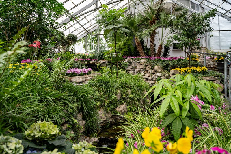 Interior View of Allan Gardens Conservatory. Plants and Flowers at ...