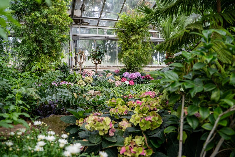 Interior View of Allan Gardens Conservatory. Plants and Flowers at ...