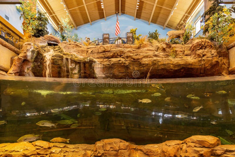 Interior View of the Bass Pro Shops Editorial Photography - Image of ...