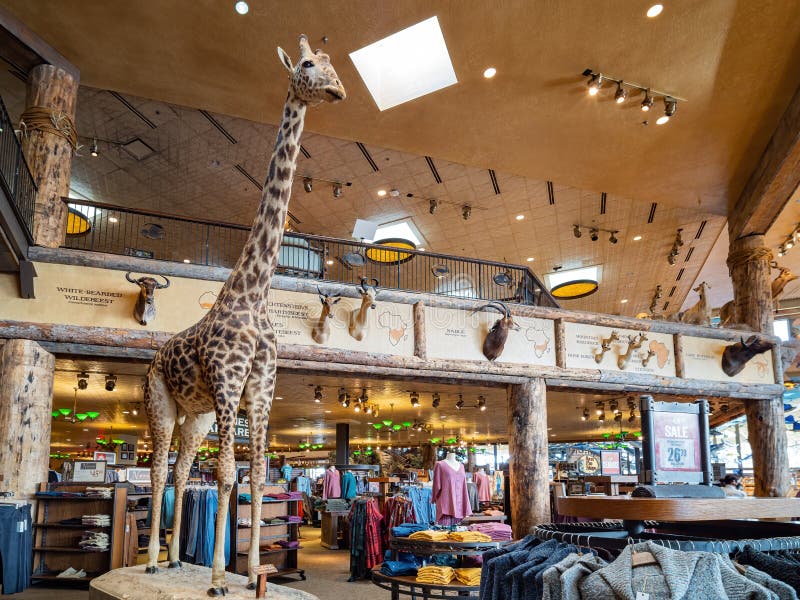 Interior of the Bass Pro Shop, Memphis Tennessee Editorial Stock Image ...